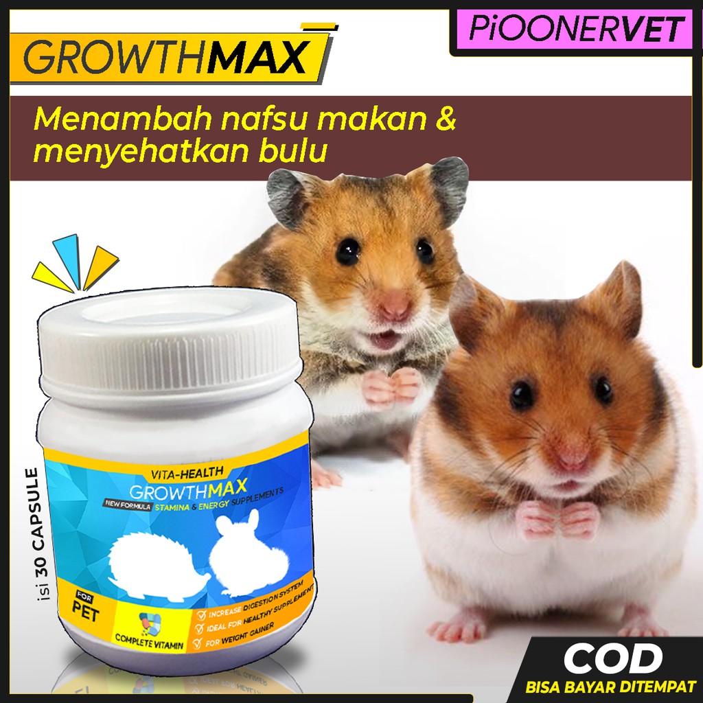 Jual Vitamin Hamster Syrian Winter White Campbell Hamster Food Pakan ...