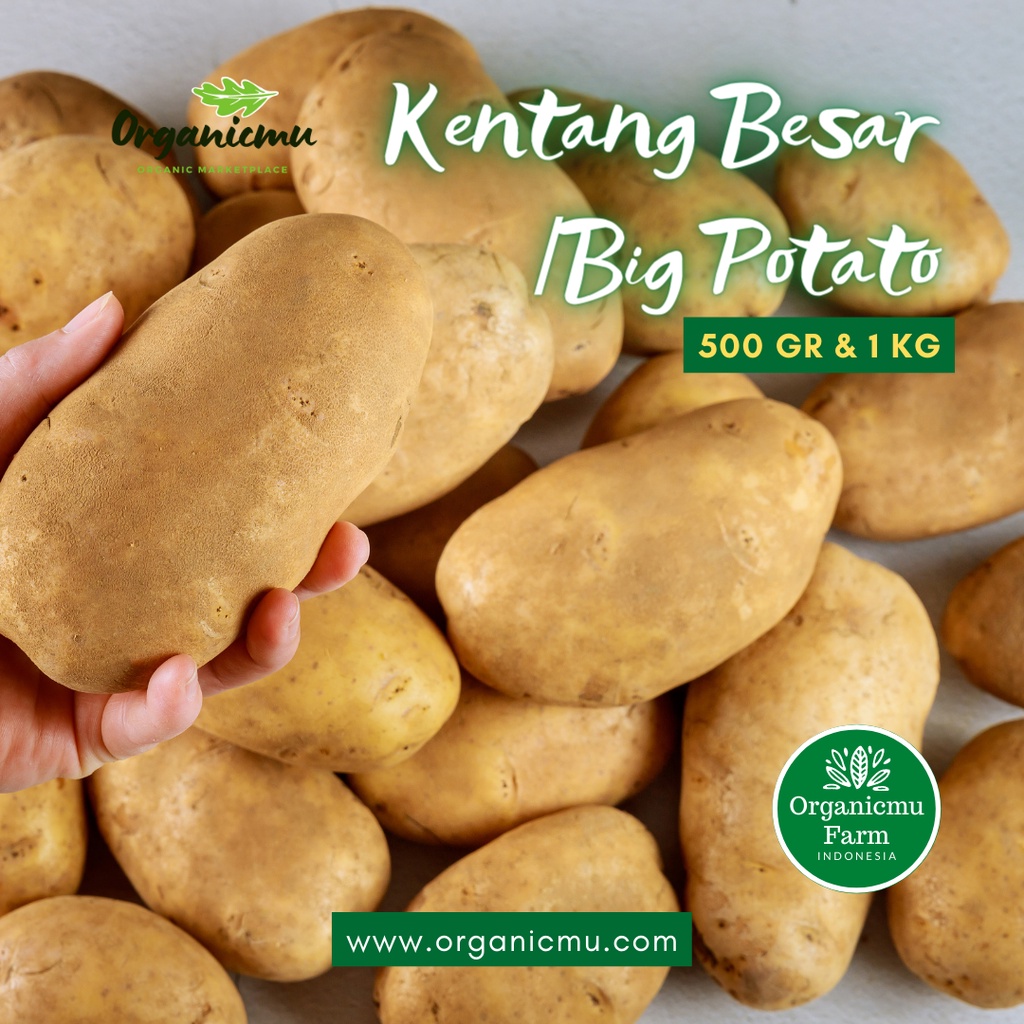 Jual Organicmu - Kentang Besar 1 kg | Shopee Indonesia