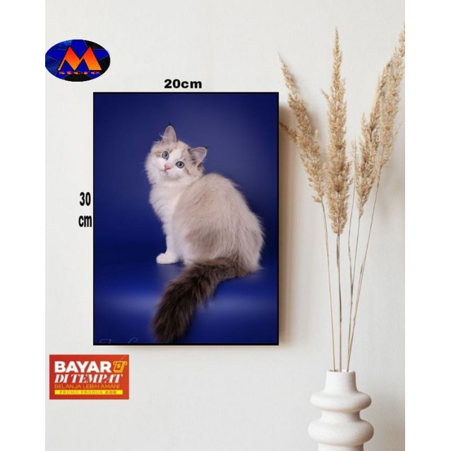 Jual HIASAN DINDING TEMA KUCING/POSTER KAYU GAMBAR KUCING/FOTO GAMBAR ...