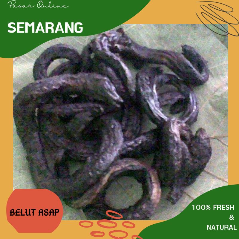 Jual Ikan Belut / Welut Hitam Asap / Fresh / Segar / Selalu Baru ...