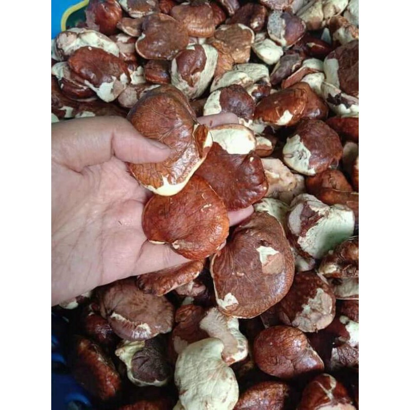 Jual buah gayam masih mentah | Shopee Indonesia