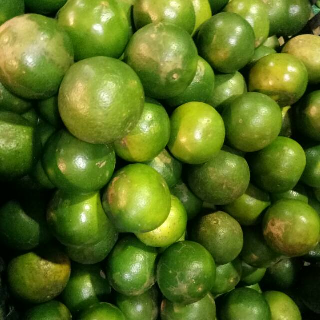 Jual Jeruk Peras 500 gr | Shopee Indonesia