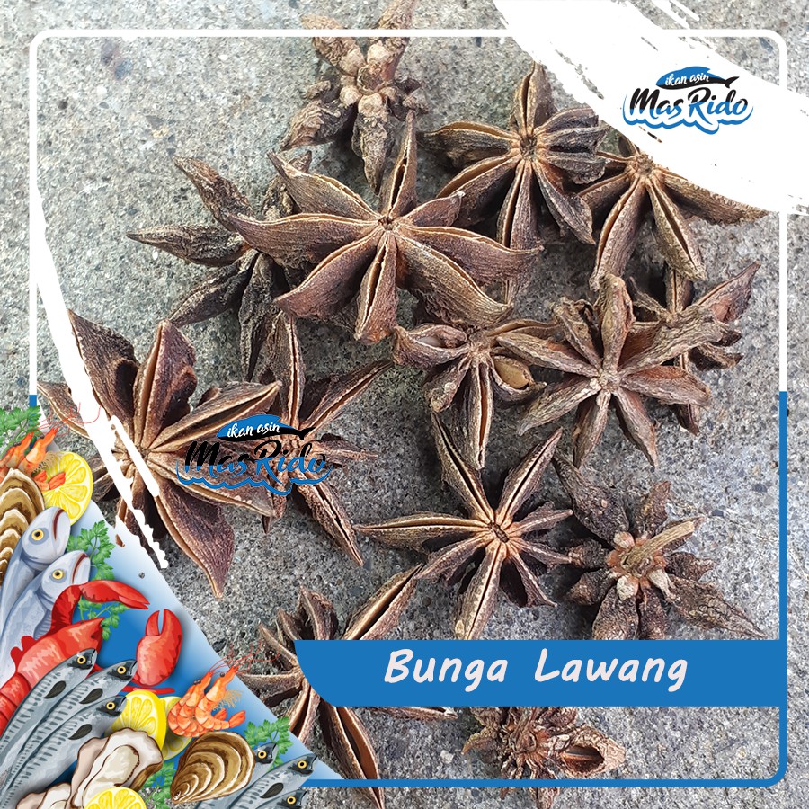 Jual Bunga Lawang / Bunga Lawang Pekak / Rempah Bunga Lawang Premium ...