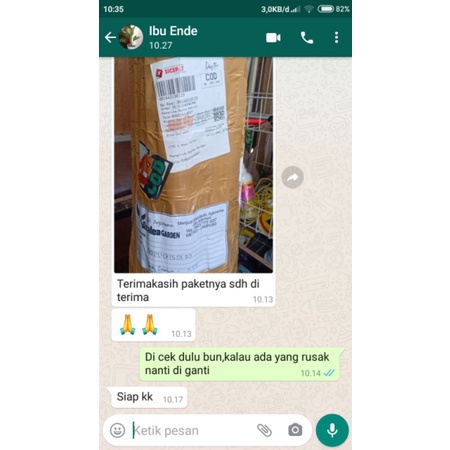 Jual Paket Aglonema 15 Jenis daun rimbun | Shopee Indonesia