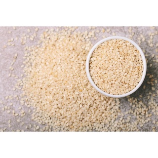 Jual Biji Wijen Putih 250 Gram White Sesame Seed Natural Premium ...