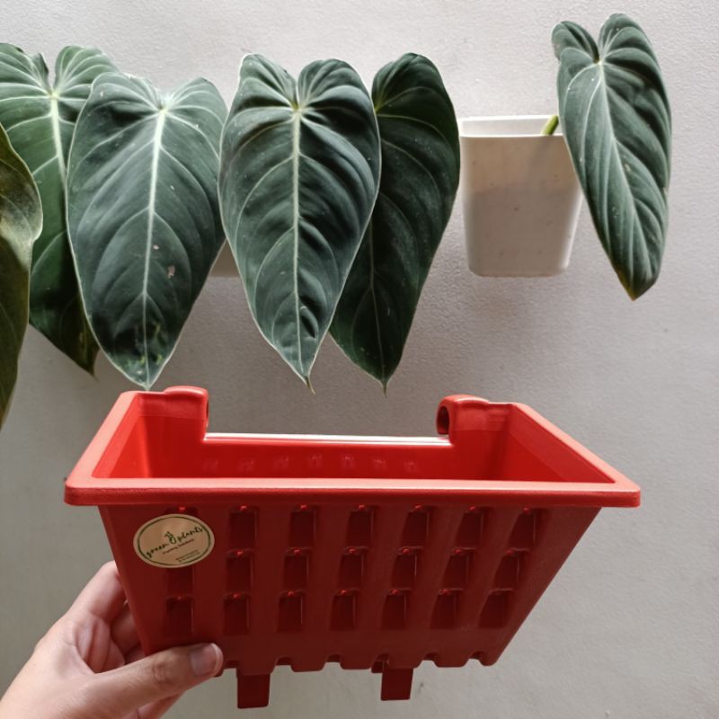 Jual Pot Bunga Tanaman Gantung Kait Dinding Vertikal Vertical Garden ...