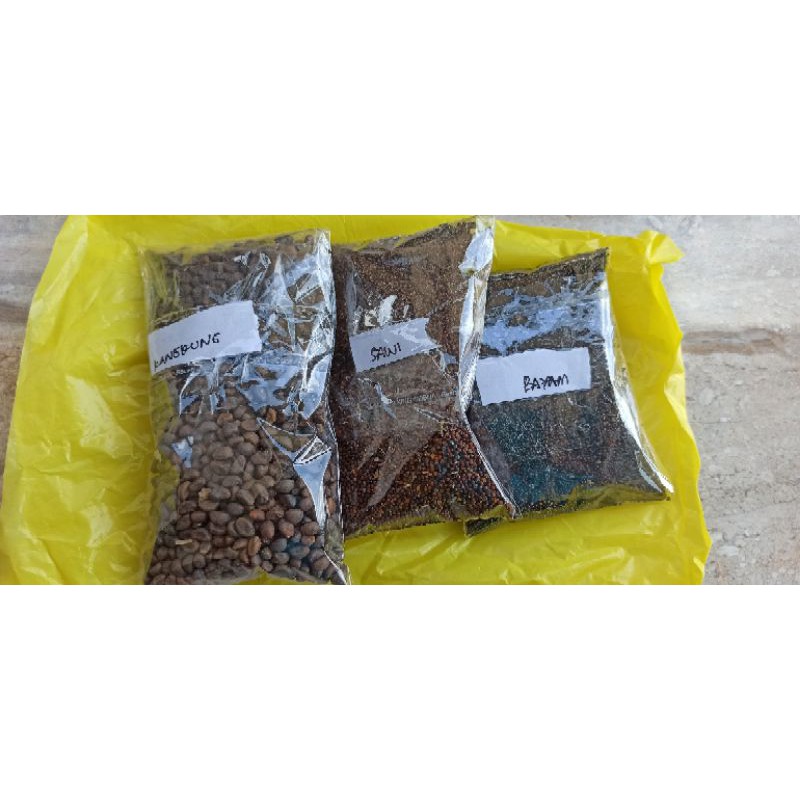 Jual Parcel 3 Macam Benih Sayuran Daun 30 Hari Panen Bayam Kangkung ...