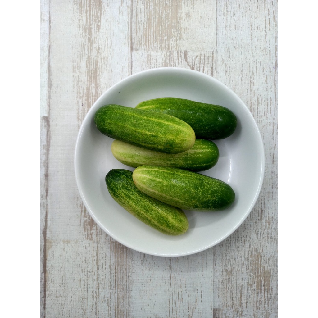 Jual TBS.ID-Timun Lalap +-598gr isi5s | Shopee Indonesia