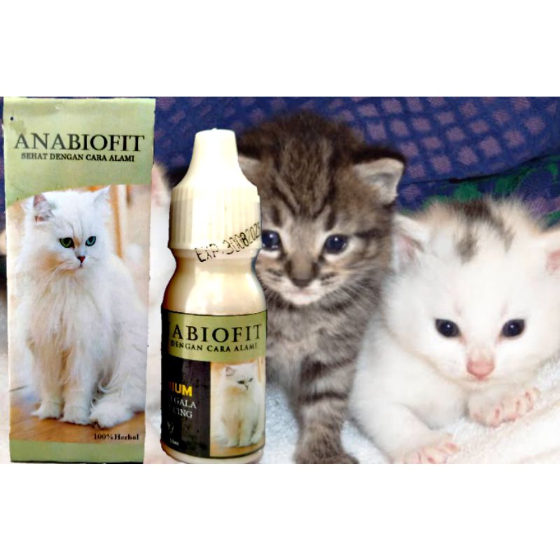 Jual Probiotik Plus Multivitamin Herbal ANABIOFIT Suplemen Kucing 15ml ...