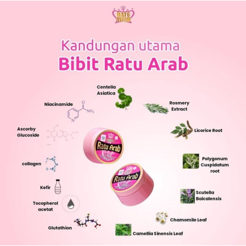 Jual Bibit ratu arab, body lotion ratu arab | Shopee Indonesia