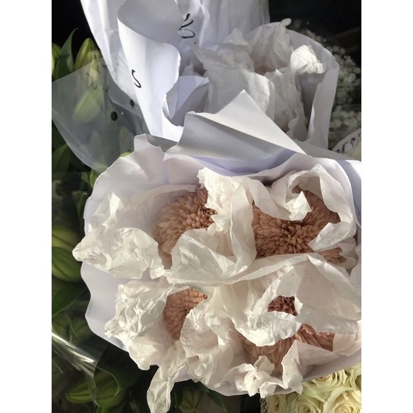 Jual bunga gompi | Shopee Indonesia