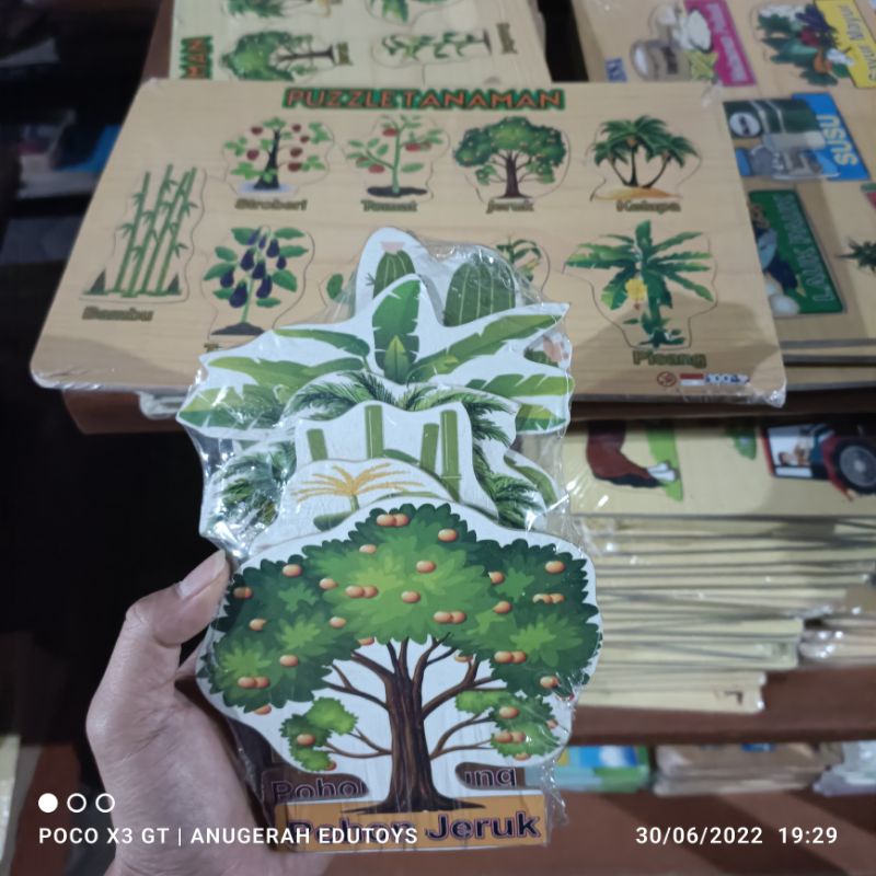 Jual Mainan Edukasi Peraga Pohon, Pakon Pohon, Mainan Pohon, Peraga ...