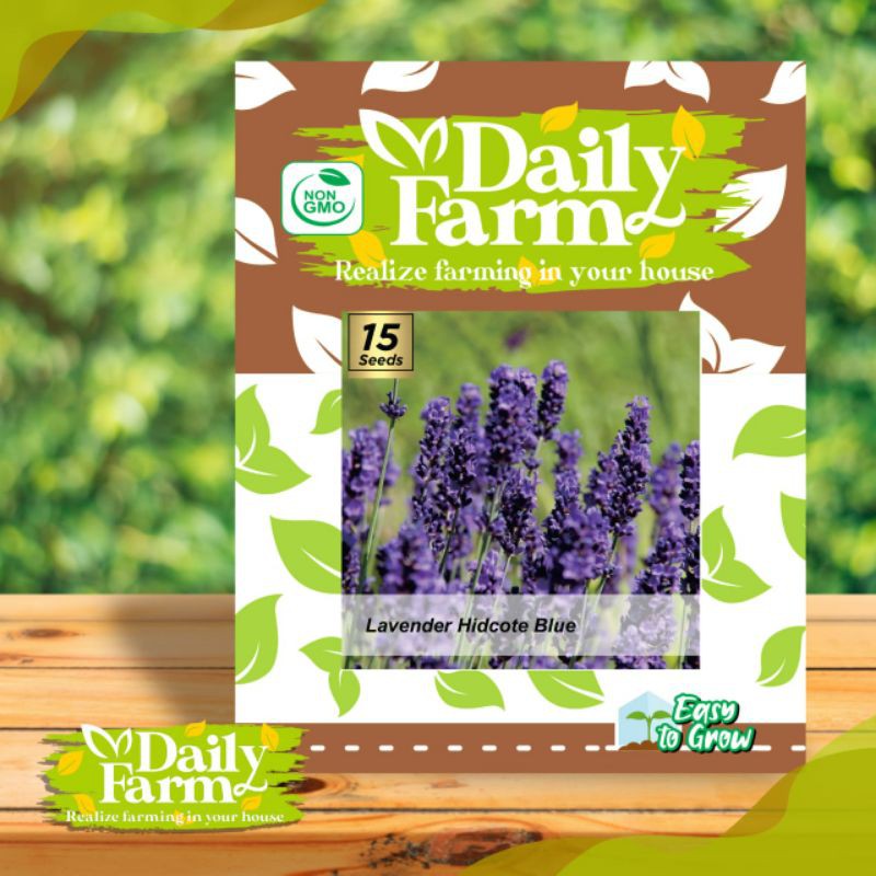 Jual Benih Bibit Lavender Hidcote Blue - Benih Lavender - Daily Farm ...