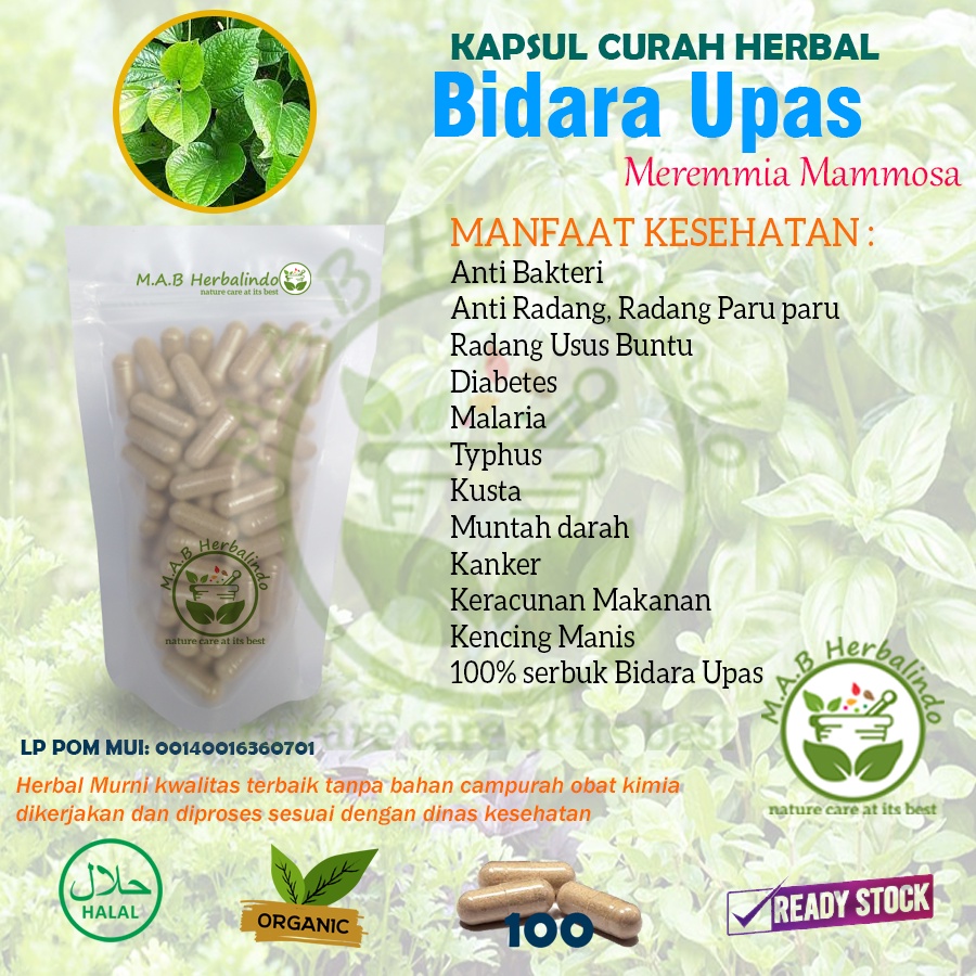 Jual BIDARA UPAS 100 Kapsul Herbal Muntah Darah Syphilis ASI Hati ...