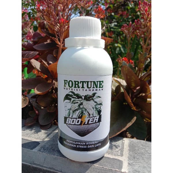 Jual VITAMIN NUTRISI TANAMAN HIAS FORTUNE BOSTER 250ML | Shopee Indonesia