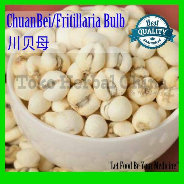 Jual Chuan Bei Frittilaria Bulb 50g | Shopee Indonesia