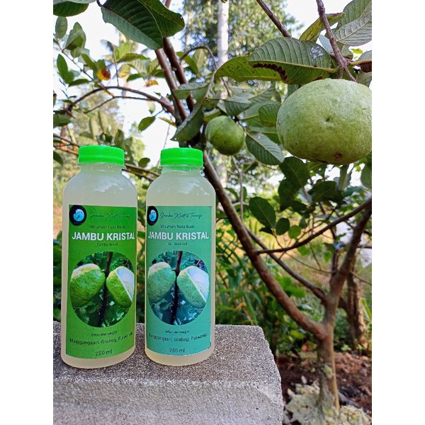 Jual Jambu Kristal Botol almond 250 ml | Shopee Indonesia