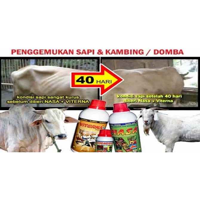 Jual [ASLI] - PAKET SUPLEMEN VITAMIN DAN NUTRISI UNTUK PENGGEMUKAN ...