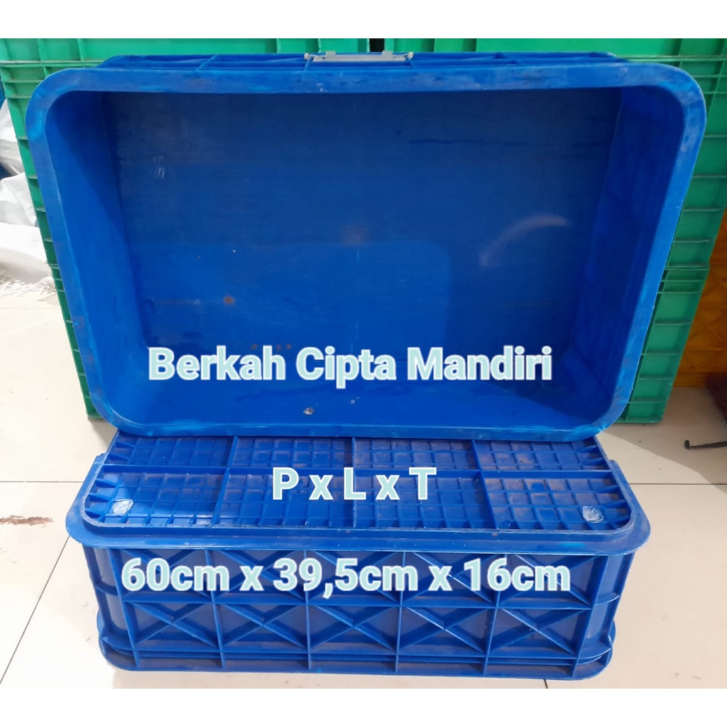Jual Box Cincau Box Rapat Container Bak Ikan Bak Hidroponik Box Rabbit ...