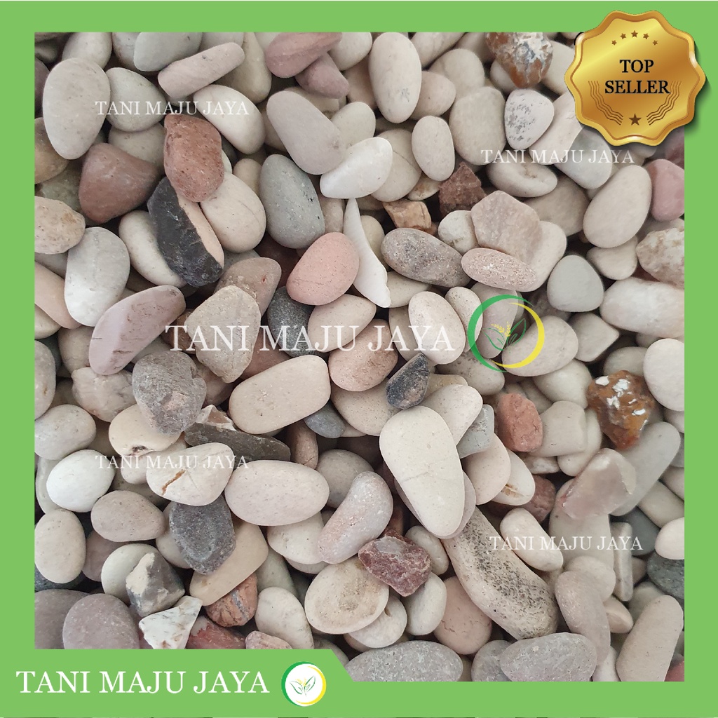 Jual Batu Hias Mix 500 gram Media Tanam Estetik Pot Tanaman Batu Dasar ...