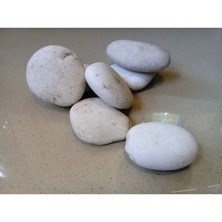 Jual Batu Kupang Pipih 5 sd 7cm Cream Pebble 1 kg Taman Terarium ...