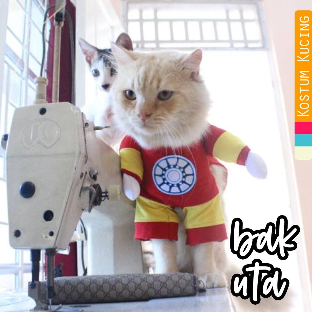 Jual Kostum ironman untuk kucing / baju kucing anjing / kostum kucing ...