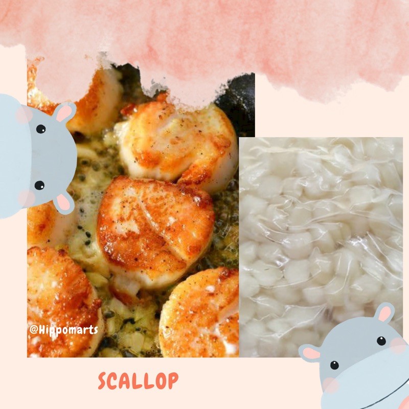 Jual Scallop US fresh Frozen / Kerang Kampak / Kerang Simping | Shopee ...