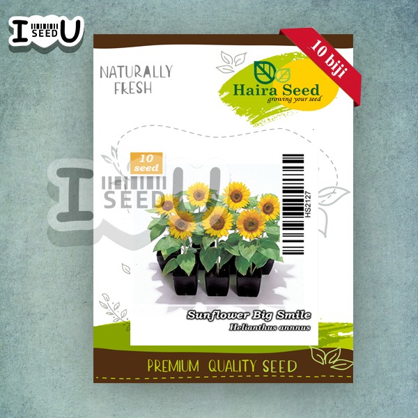 Jual Bibit-Biji Bunga Matahari Big Smile (Haira Seed) | Shopee Indonesia