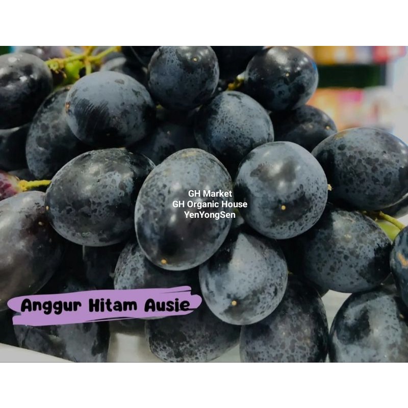 Jual Buah Anggur Hitam Australia 1 Kg /Fresh Segar Terlaris Enak Garing ...