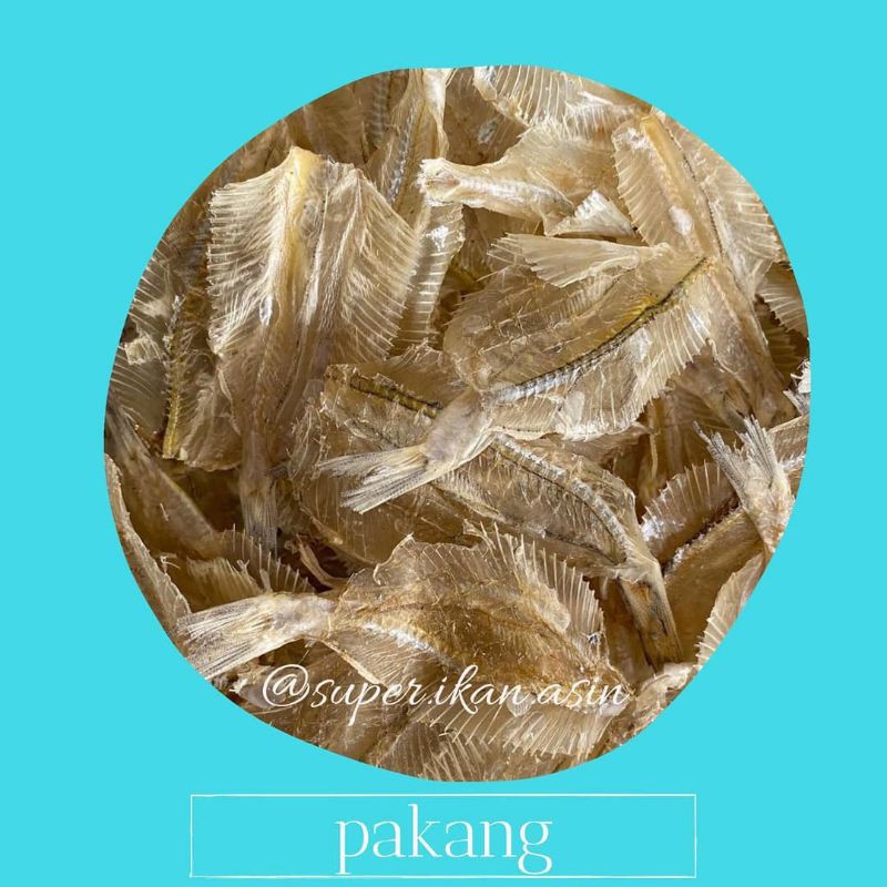 Jual IKAN ASIN PAKANG | Shopee Indonesia