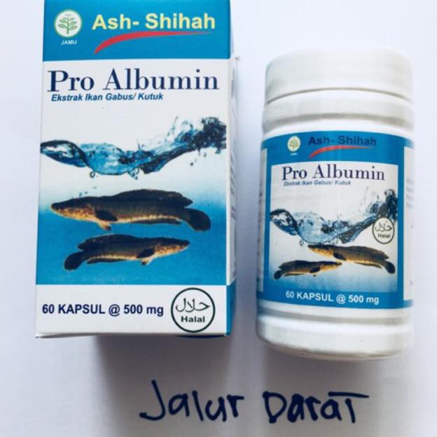 Jual Original Pro Albumin - Extra Albumin - Ikan Gabus - Pro Albumin ...