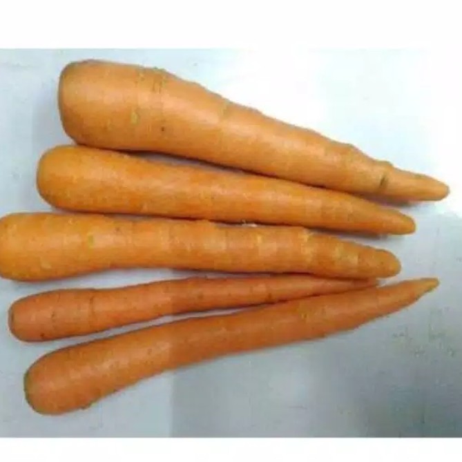 Jual Wortel import 1kg | Shopee Indonesia