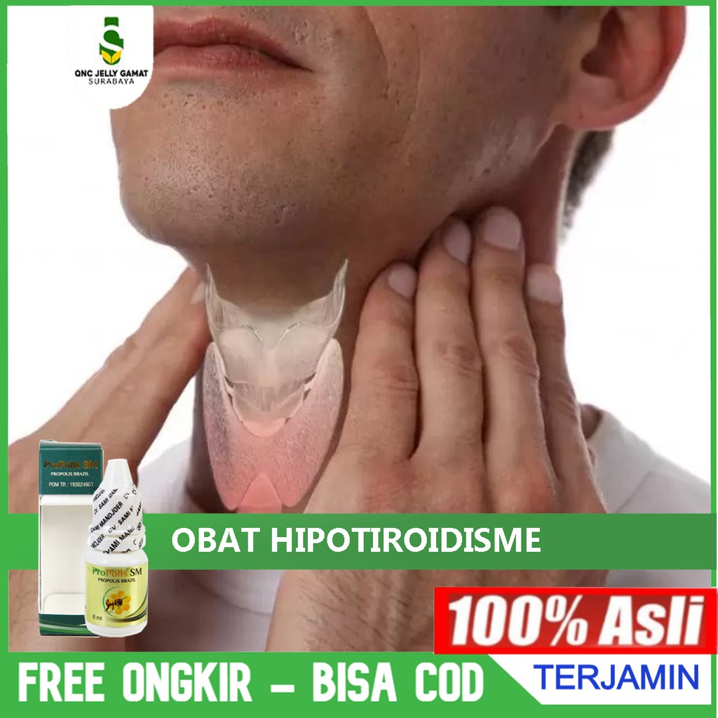 Jual Obat Hipotiroidisme, Hipotiroid, Hormon Tiroid Rendah Herbal ...