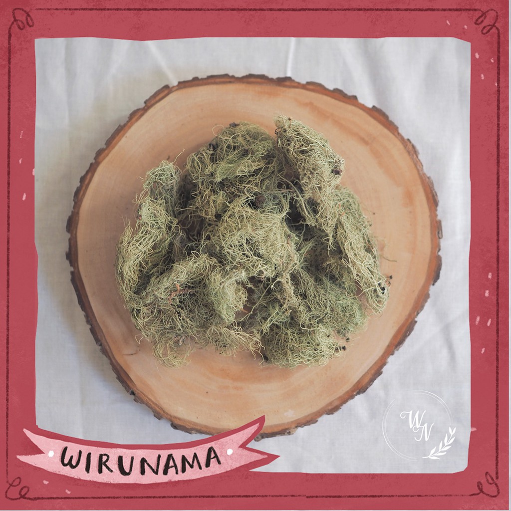 Jual RUMPUT KAYU ANGIN NATURAL 20 GRAM - RUMPUT - RUMPUT KAYU ANGIN ...