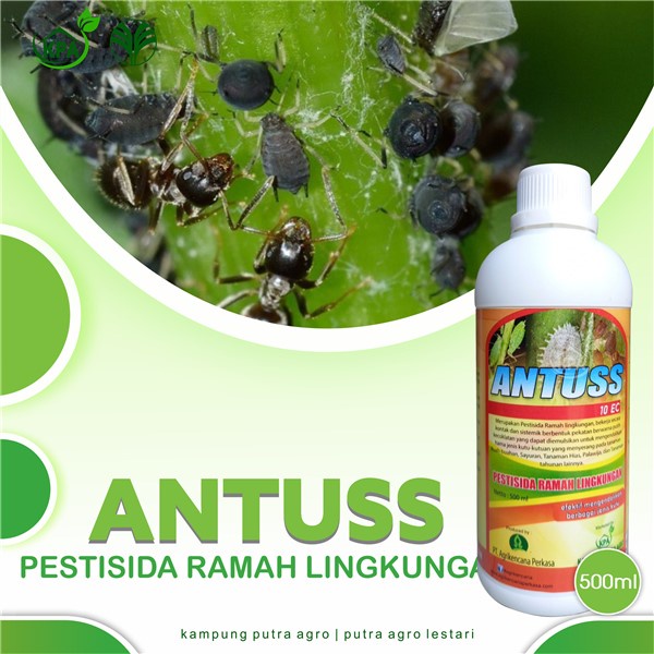 Jual Pestisida Organik Pembasmi Kutu Kebul Kutu Apis pada tanaman ...