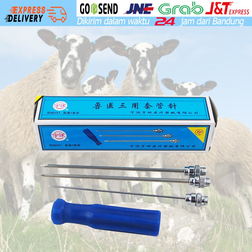 Jual Alat Penghilang Kembung Pada Sapi Kambing Domba Kuda Babi Trocar ...