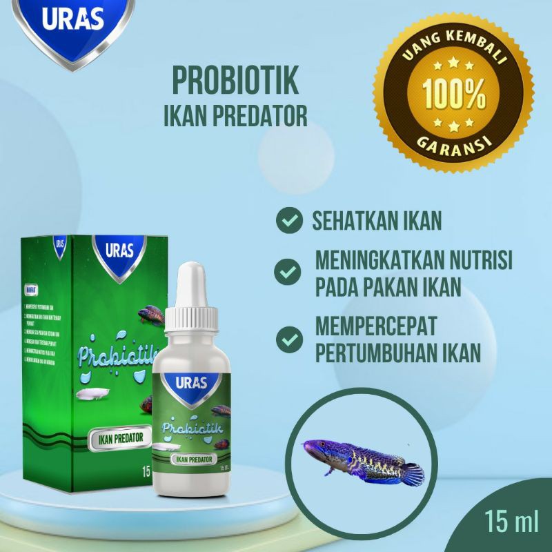 Jual Vitamin Probiotik Obat Ikan Predator Arwana Golden Silver Channa ...