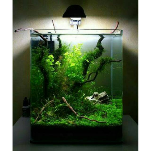 Jual Nano Aquarium Full set | Shopee Indonesia