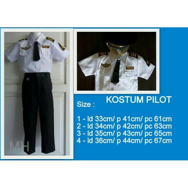 Jual baju pilot/seragam pilot/baju profesi/kostum profesi | Shopee ...