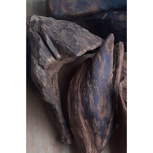 Jual Kayu Gaharu Ramin Kalimantan Super Grade A 250gr-1kg/Agarwood ...