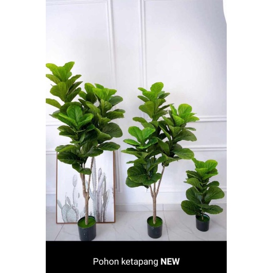 Jual pohon ketapang palsu artificial T.150cm/pohon plastik/ pohon ...