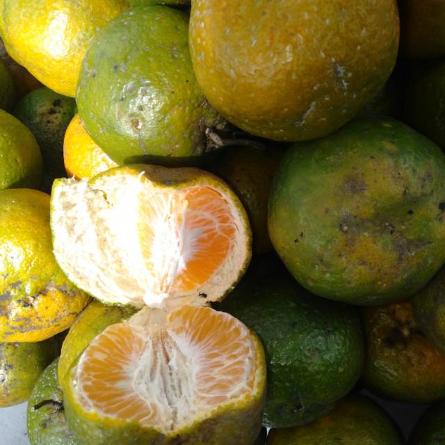 Jual Jeruk Batu Lima 2000gram (2kg) | Shopee Indonesia