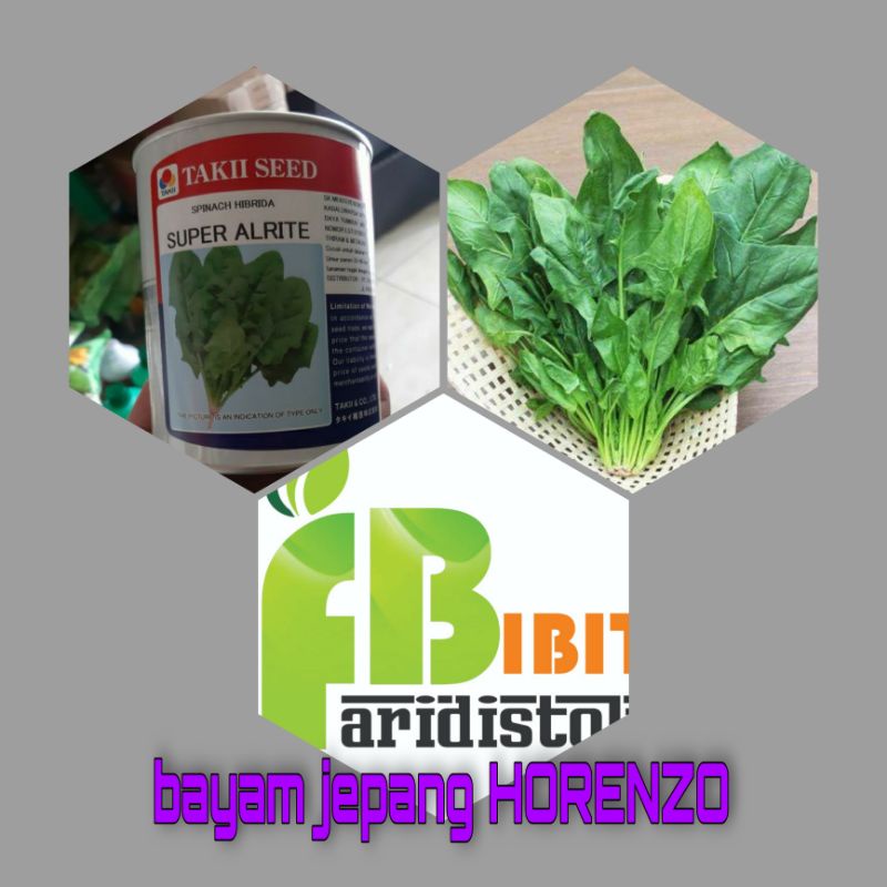 Jual 150 biji benih bayam jepang HORENZO | Shopee Indonesia