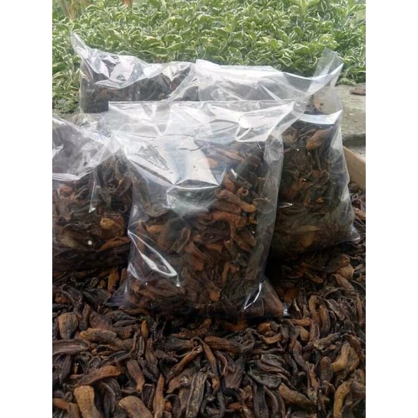 Jual teripang /timun laut kering tawar | Shopee Indonesia