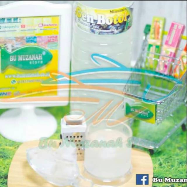 Jual Minuman Legen / pohon siwalan | Shopee Indonesia