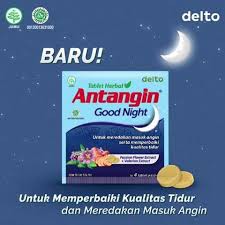 Jual Antangin Good Night Isi 4 Tablet Herbal | Shopee Indonesia