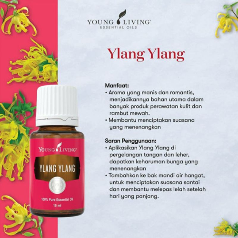 Jual Ylang Ylang Young Living Essential Oil | Shopee Indonesia