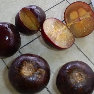 Jual Buah Rukem Terlengkap & Harga Terbaru Maret 2026 | Shopee Indonesia