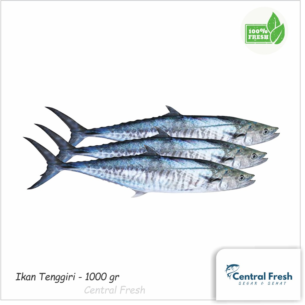Jual Ikan Tenggiri Fresh Segar - 1000 gram | Shopee Indonesia