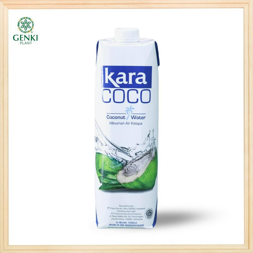Jual Kara Coco Pure Coconut Water / Air Kelapa Asli - 1 L | Shopee ...